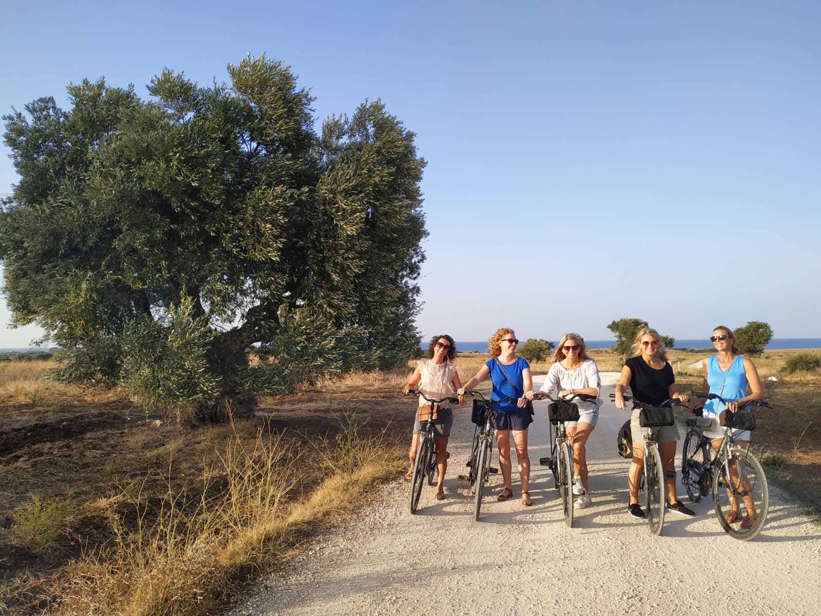 Account - Madera Bike