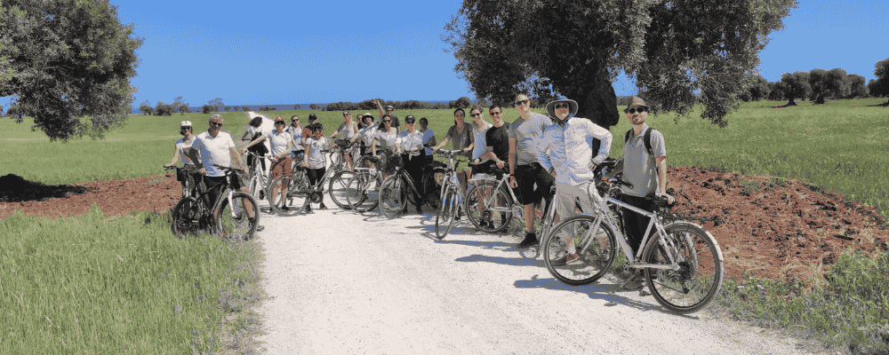 Download Our Brochure - Madera Bike